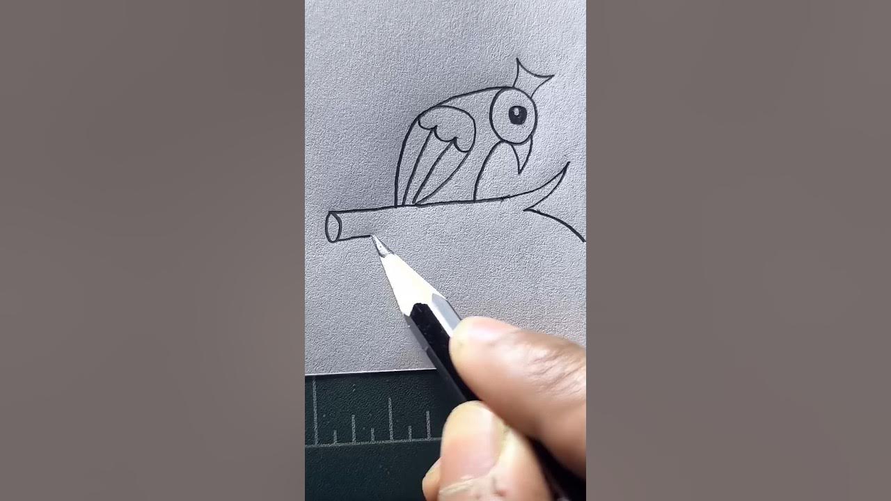 how to draw a bird - YouTube