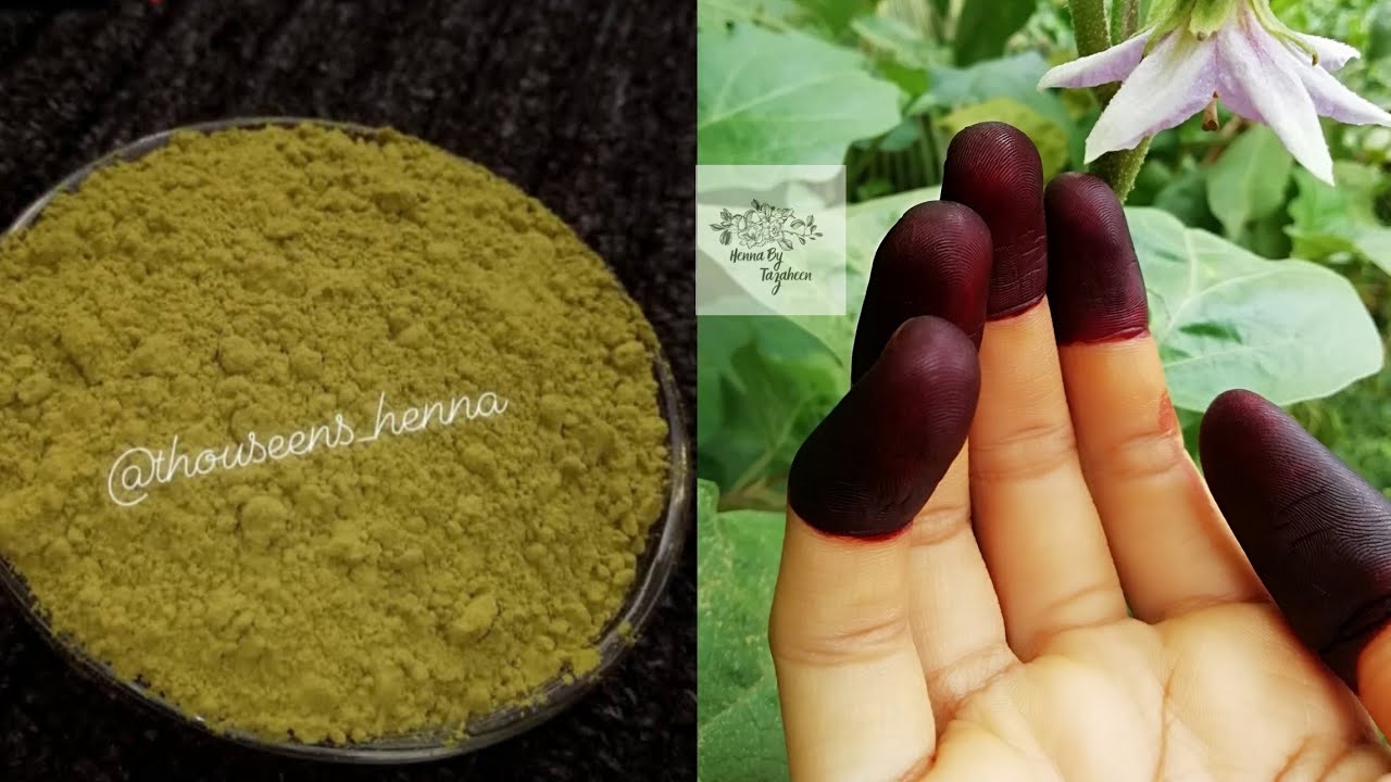 HENNA POWDER HENNA PASTE NATURAL HENNA CONES FRESH STAIN TO henna-powder-henna-paste-natural-henna-cones-fresh-stain-to