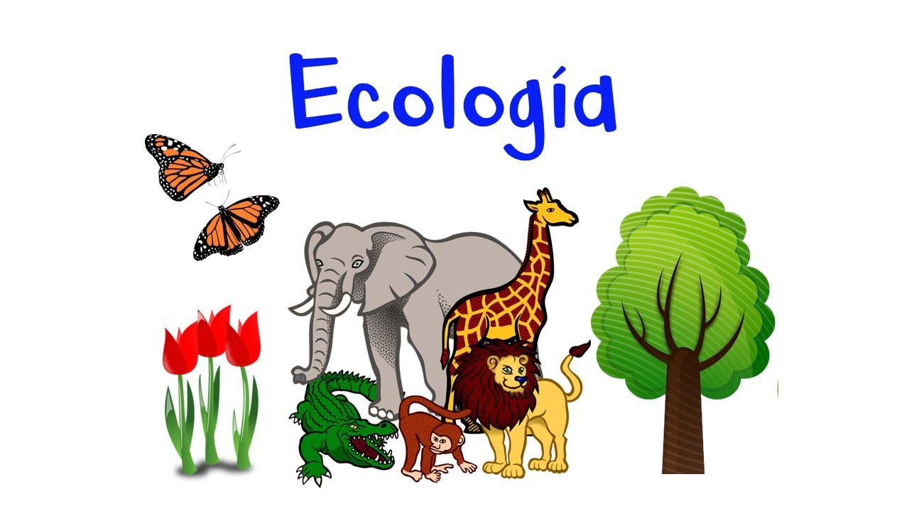 🌳 ¿Qué es la Ecología? 🌎 [Fácil y Rápido] - YouTube
