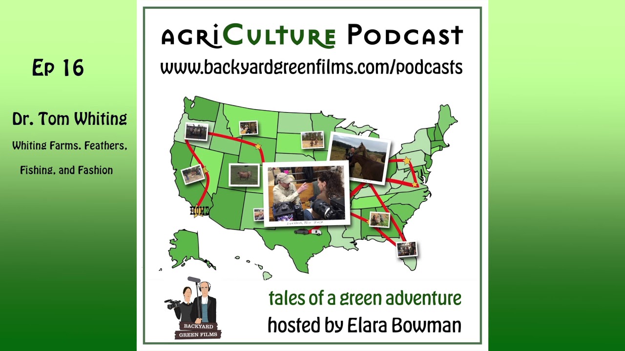 agri Culture Podcast Ep16 Dr. Tom Whiting, Whiting Farms. Feathers ...