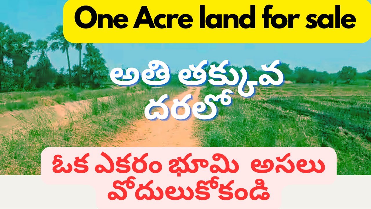 One Acre land for sale||మంచి పంట పొల్లం అమక్కం॥సిద్దిపేట॥తెలంగాణ ...