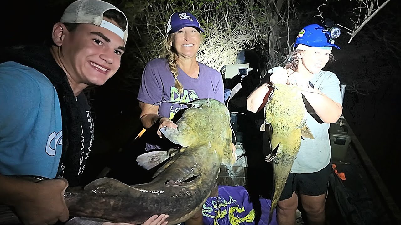 LIVE BAIT to Catch Monster Flathead Catfish Using Bank Poles and Limb ...
