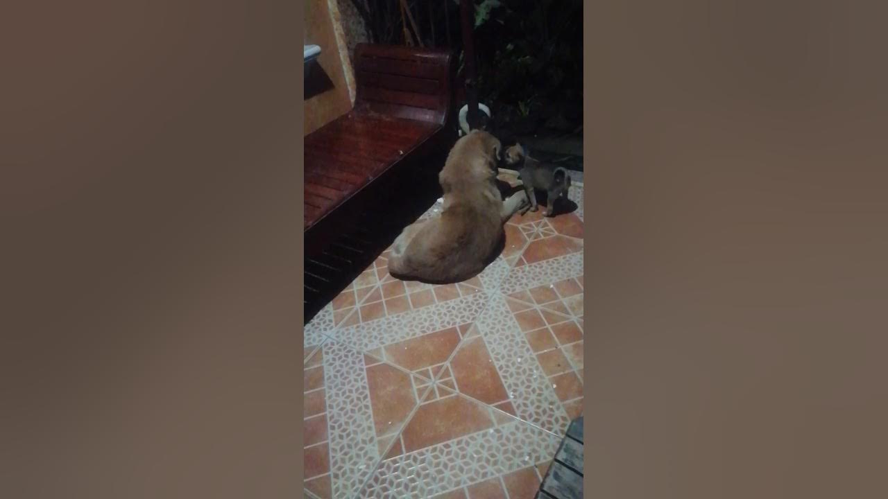 kulitan time w/ Jr and dakmat - YouTube