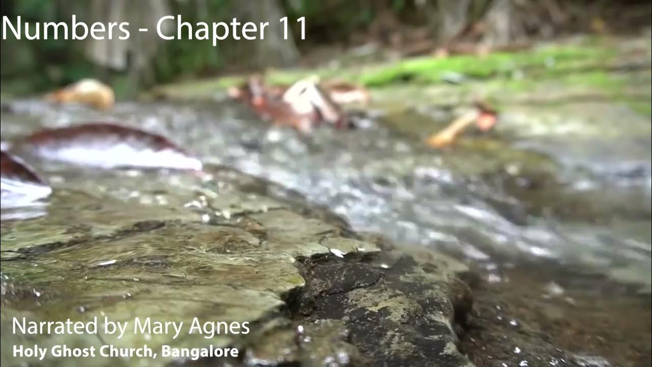 Numbers Chapter 11 - YouTube