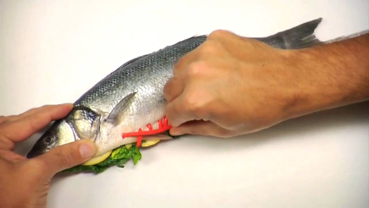 The Food Loop(TM) Lace - YouTube