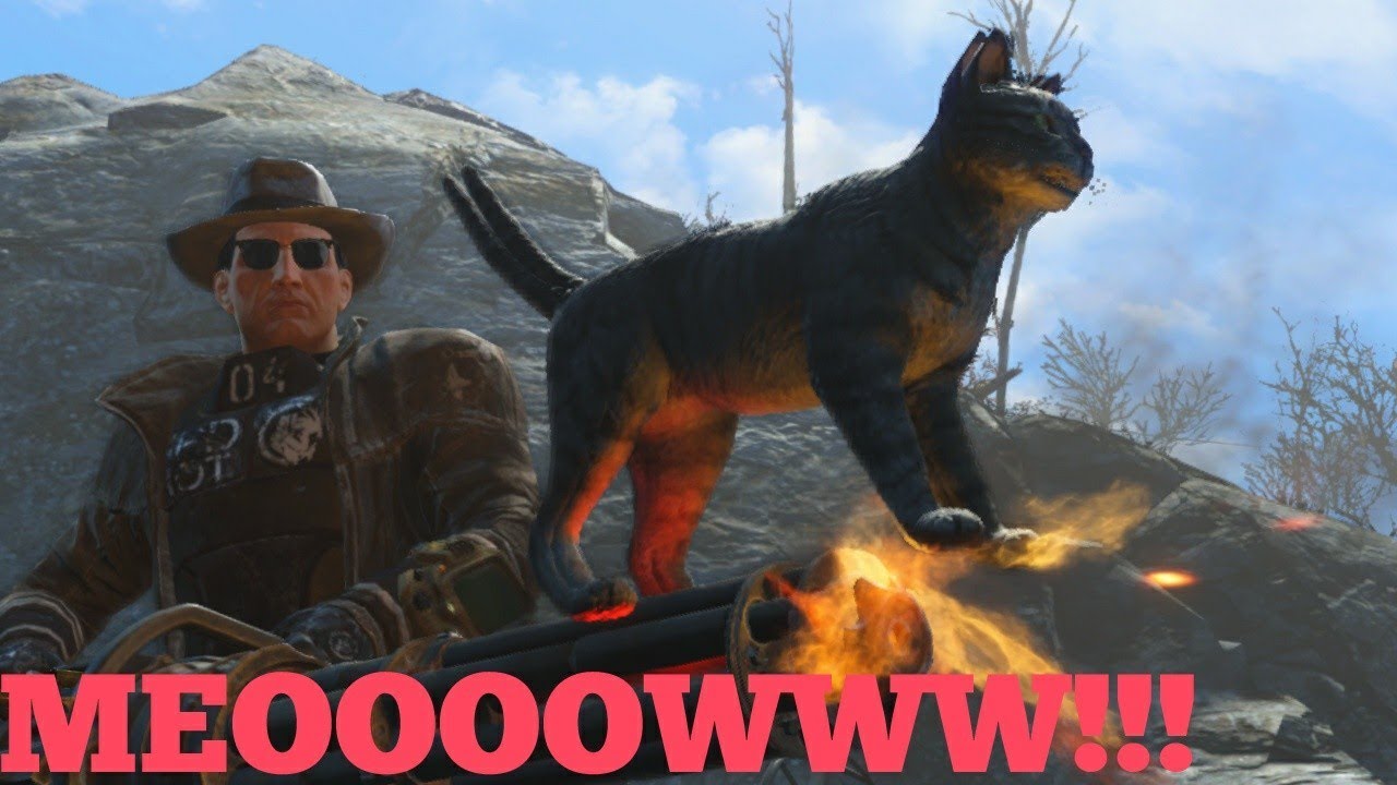 Cat Gun!! OOF! | Fallout Mods - YouTube