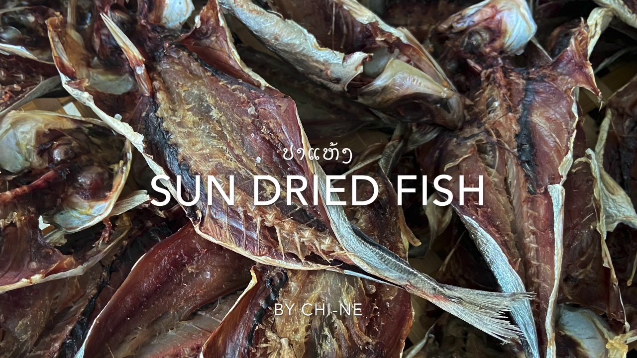 Sun Dried Fish ປາແຫ້ງ - YouTube