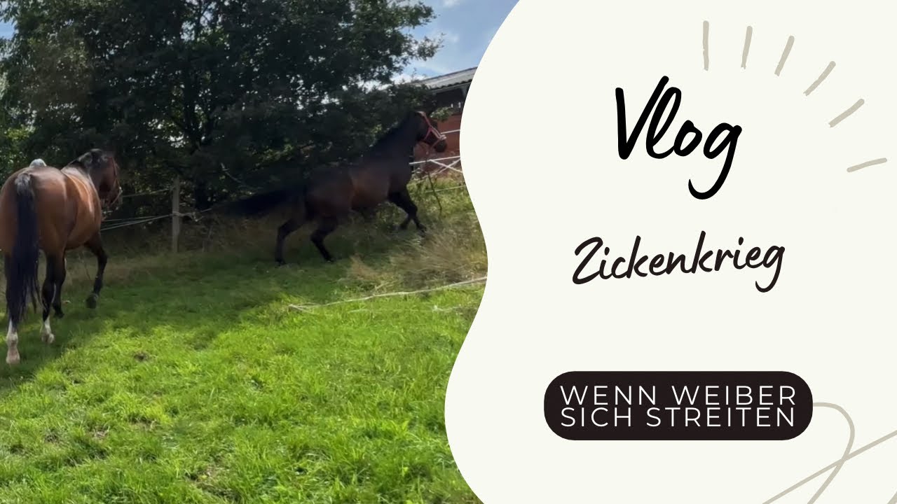 Zickenkrieg - YouTube