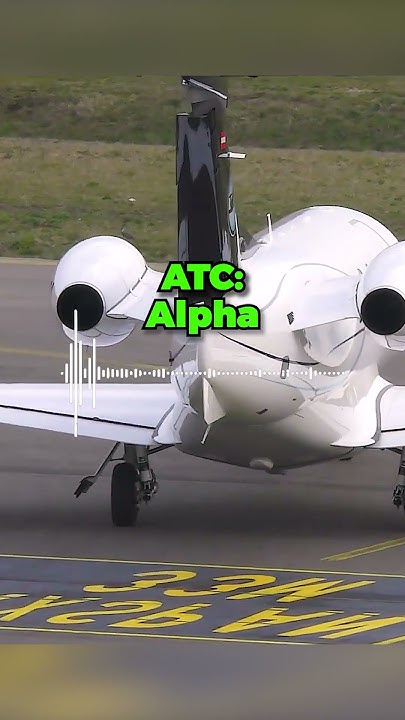 Drunk Pilot Trying to Fly Plane ️ - YouTube Drunk Pilot Trying to Fly Plane ️ - YouTube