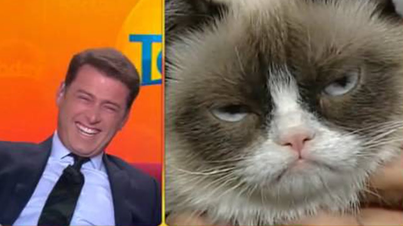 Reporter can't stop laughing at Grumpy Cat | Migler Reacts - YouTube