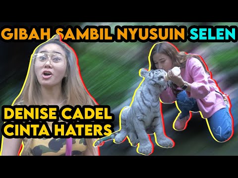 NYUSUIN BABY SELEN || DENISE CHARIESTA CINTA HATERS