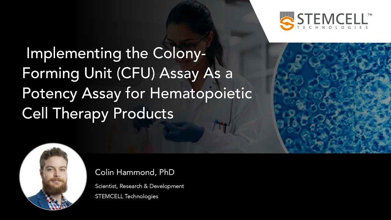 Implementing the CFU Assay As a Potency Assay for Hematopoietic Cell ...