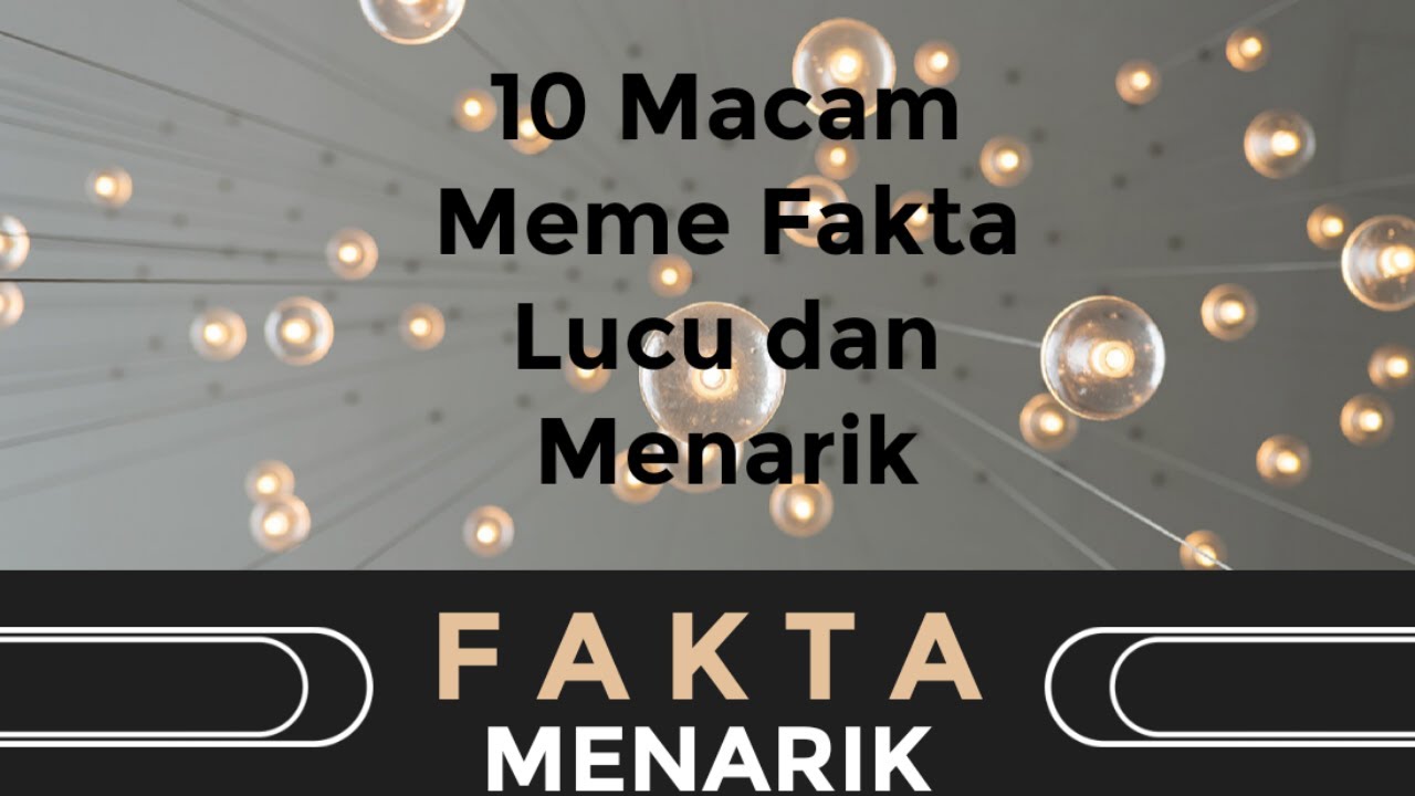 10 MEME FAKTA LUCU DAN MENARIK - YouTube