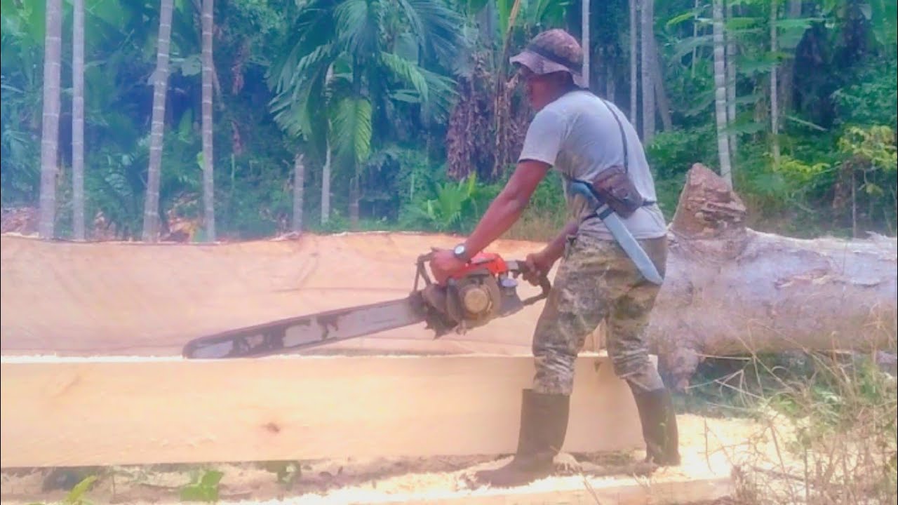 mesin chain-saw is the best - YouTube