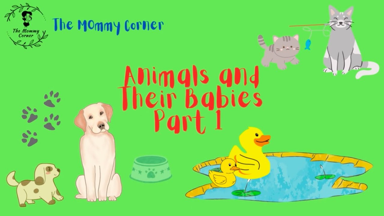 Learn English for Kids | Animals and Their Babies Part 1 Talking ...