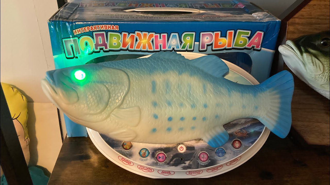 Interactive Russian singing fish all modes - YouTube