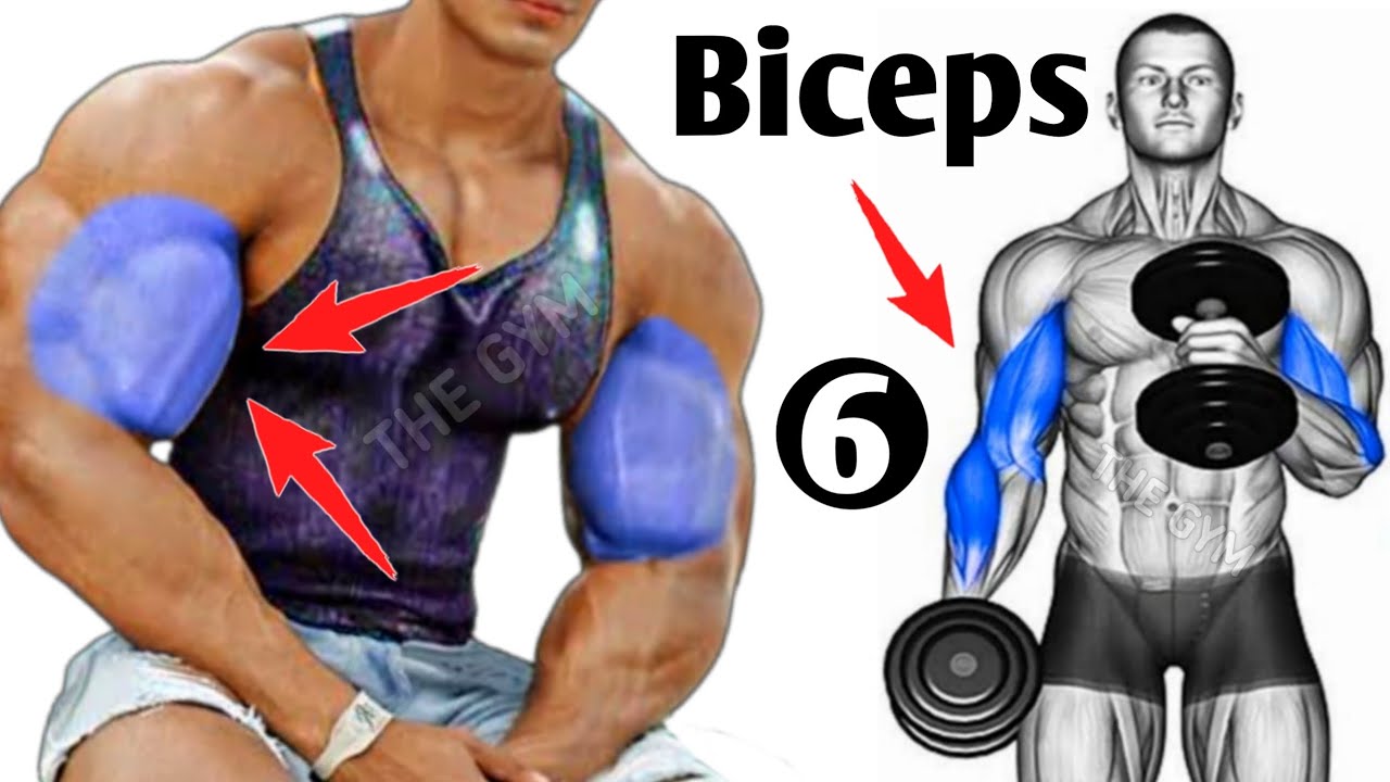 6 Effective Biceps Exercises - Biceps Workout - YouTube
