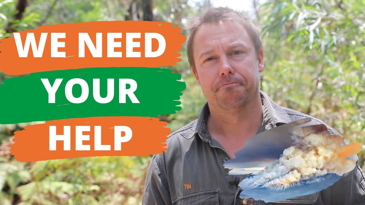 🚨 WILDLIFE STATE OF EMERGENCY! 🚨| Tim Faulkner - YouTube