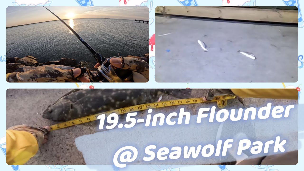 19.5-Inch Flounder at Seawolf Park - YouTube