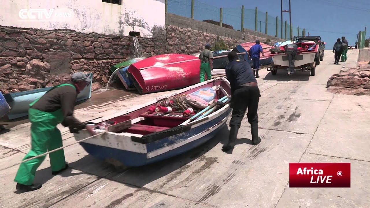 Red Tide Detected Near Cape Town: Tide Can Render Shellfish Dangerous ...