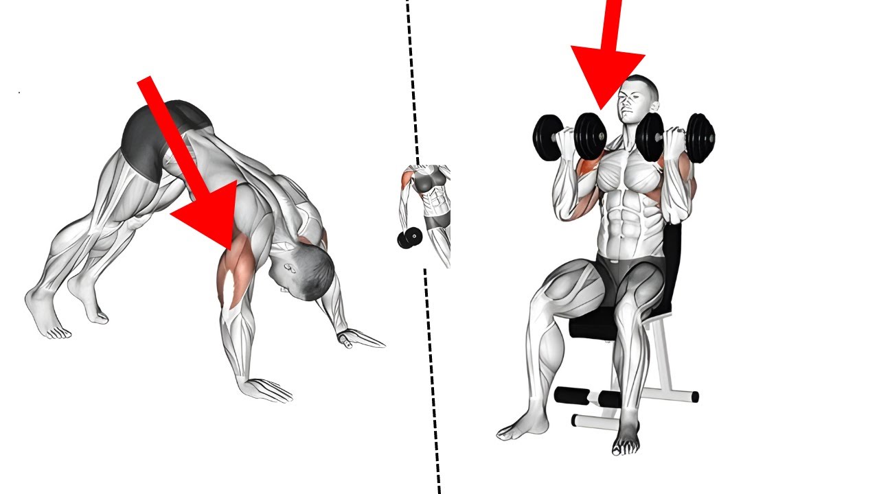 Defined Shoulders Best Exercises for Toning - YouTube