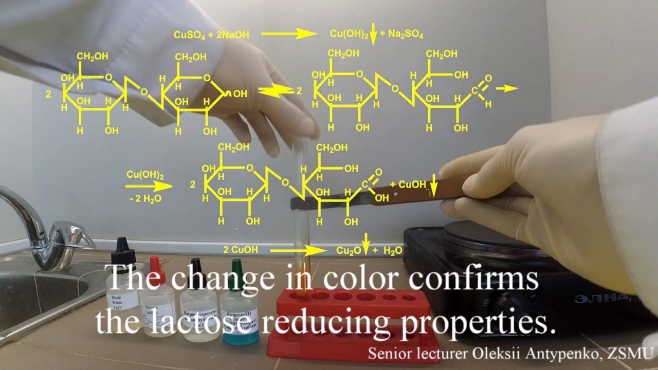 Reducing properties of lactose - YouTube