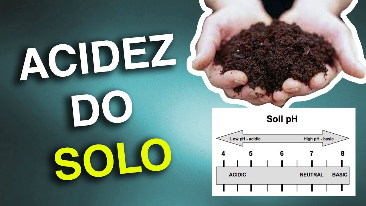 Conheça os 3 tipos de acidez do solo - YouTube