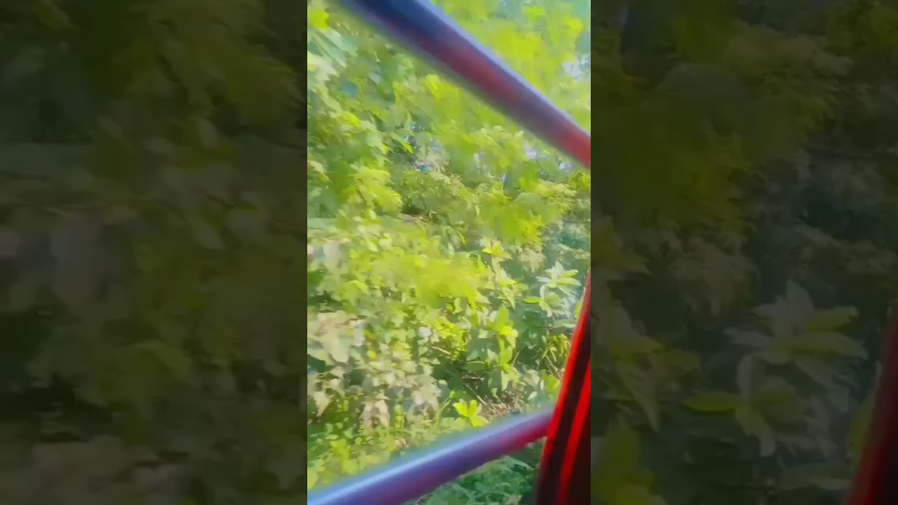 18 December 2024 - YouTube