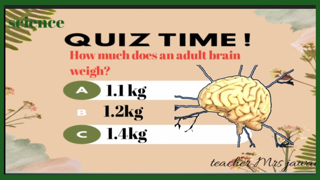 Top 20 General knowledge MCQs | quiz |science questions-20 | Questions ...