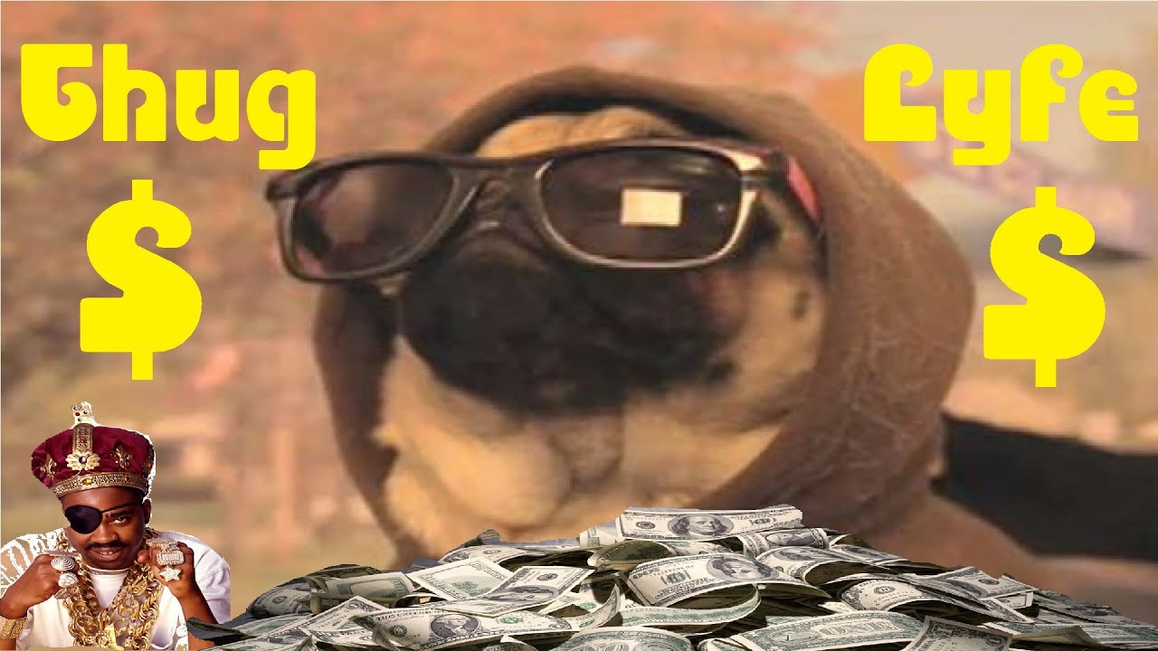 THUGS. PUGS. YOLO-SWAG!!!$$$ - YouTube