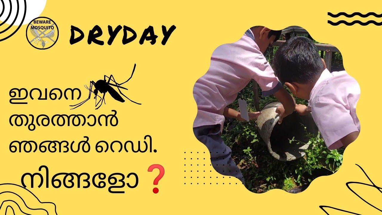 ഡ്രൈഡേ|ഞങ്ങൾ തയ്യാറായി|Dryday - YouTube