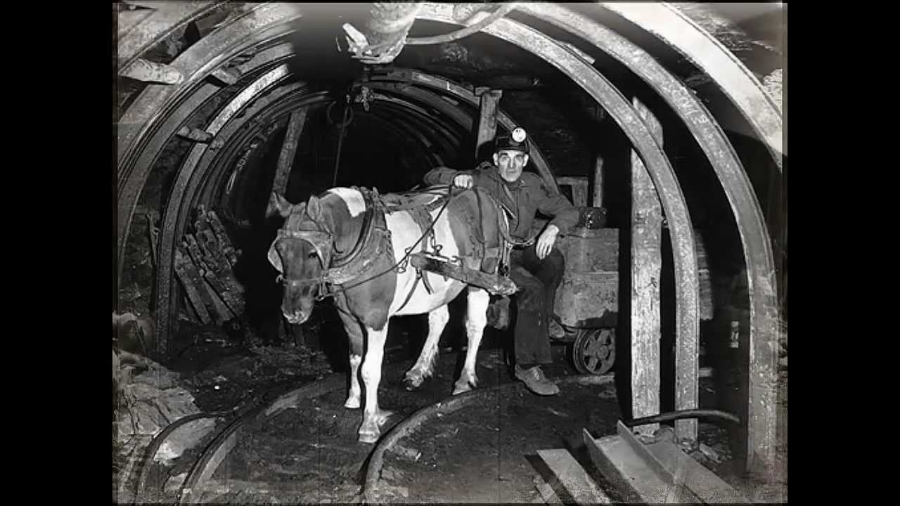 Pit Ponies - YouTube