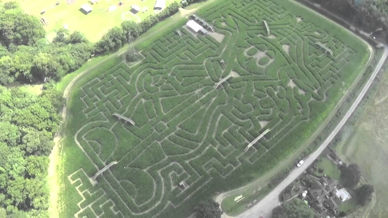 Tulleys Farm's Giant Maize Maze - Puzzle Park - YouTube