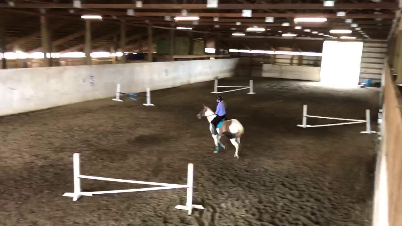 Cherry acres online horse show Class 32 Hunter over fences course A Ava ...