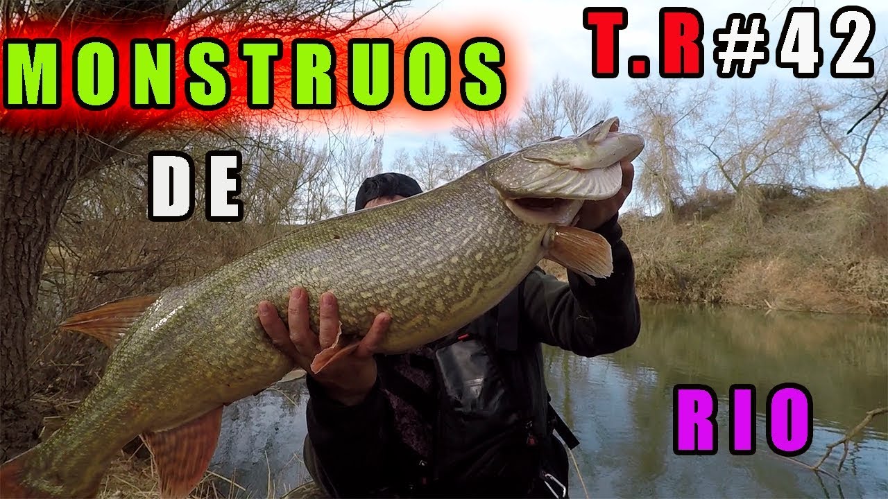 MONSTRUOS DE RIO 2019 - YouTube