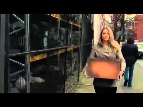 They Wait Film Complet Français