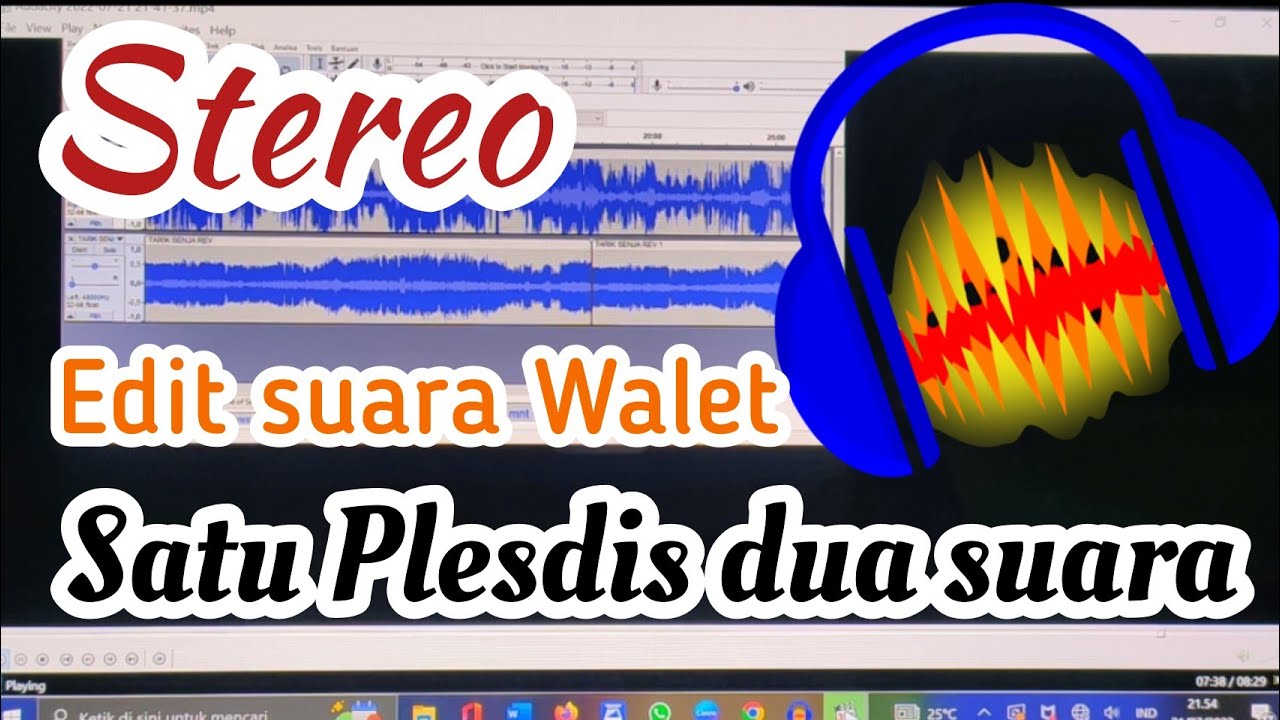 CARA MEMBUAT DUA SUARA WALET DISATU PLESDIS (STEREO) - YouTube