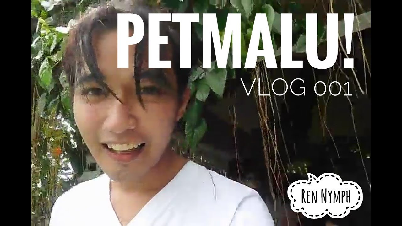 PETMALU! | Vlog 001 - YouTube
