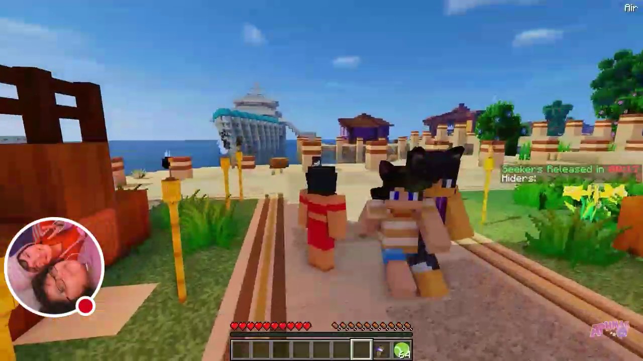 Watch aphmau:wolf puppy [hide and seek minecraft - YouTube