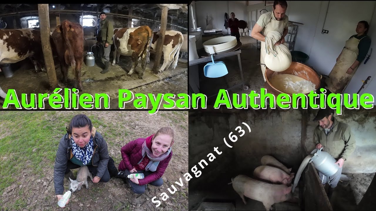 Ferme Aurélien Morel - YouTube