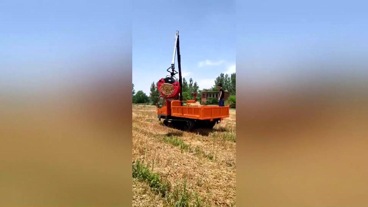 crawler type mini dumper, mini crane, mini concrete mixer, timber ...