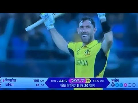 glenn maxwell today batting | glenn maxwell batting today | glenn ...