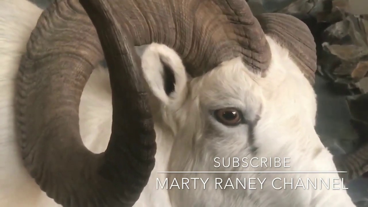 Marty Raney's Stone and Log Masonry Work Inside an Alaskan Home - YouTube