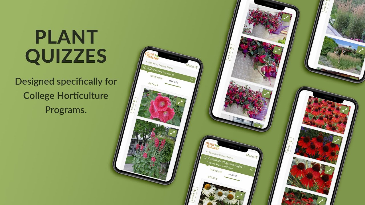 Plant Quizzes for College Horticulture Programs - YouTube
