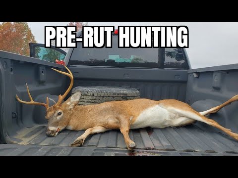 Pre-Rut Hunting Strategies. BIG BUCKS on their feet! - YouTube