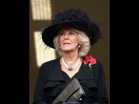 Queen Elizabeth Considers Tinder and Grindr Apps usage Ban within the ...