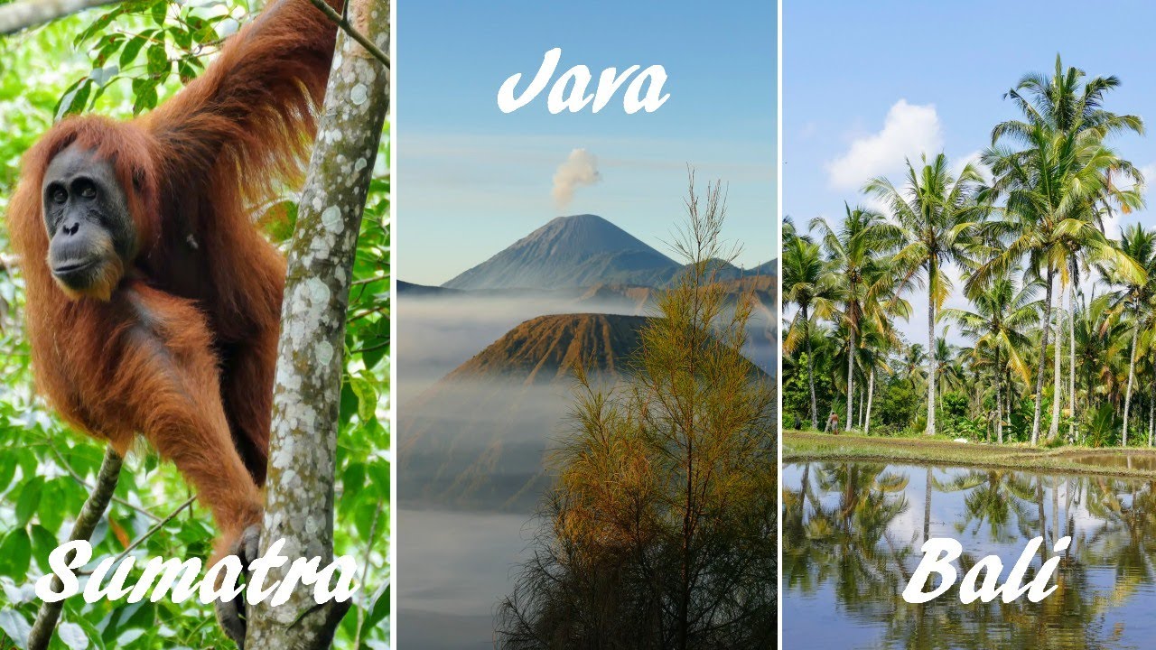 Sumatra - Java - Bali: Drei Inseln mit viel Wildlife, Vulkanen und ...