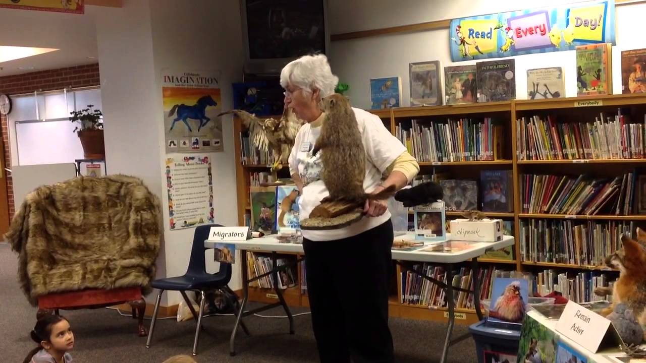 Elementary Animals in Winter 2 - YouTube