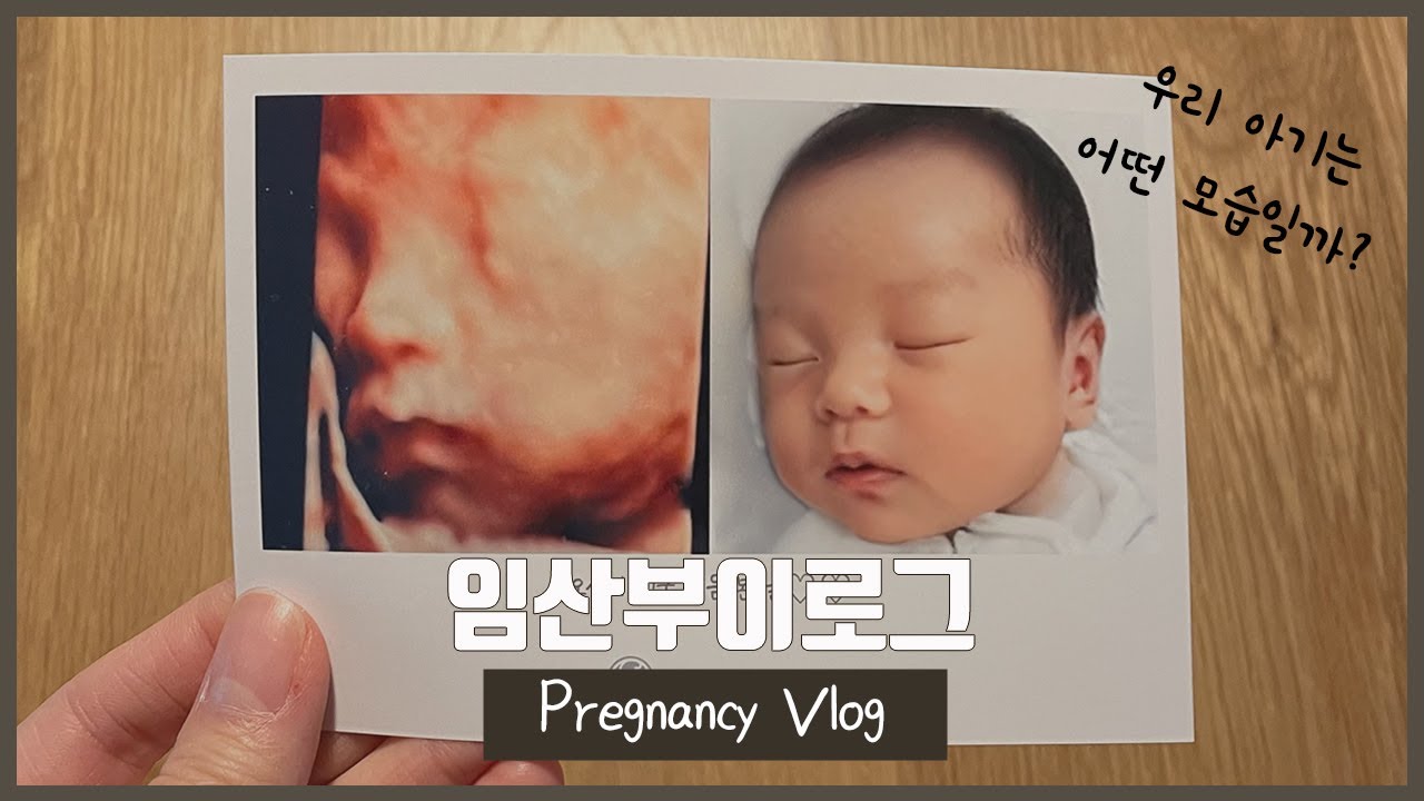 임산부 브이로그 24주차 입체초음파와 아기얼굴 예측 그릭요거트 두부찌개 만들기 초음파사진 앨범에 정리하는 일상