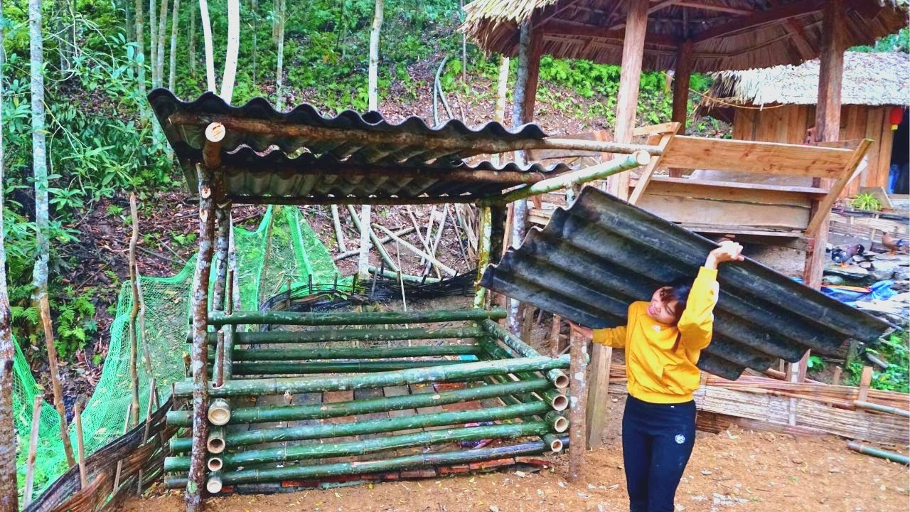 Build a bamboo pigpen, Build a beautiful farm - peaceful life, Dang Thi ...